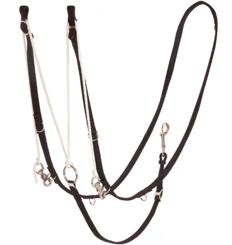 Ezy Ride Martingale German Nylon Web – Gympie Saddleworld & Country ...