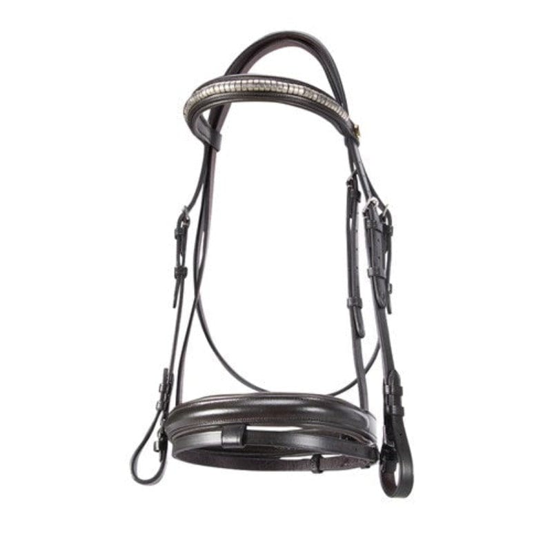 Jeremy & Lord Bridle Hanoverian – Gympie Saddleworld & Country Clothing