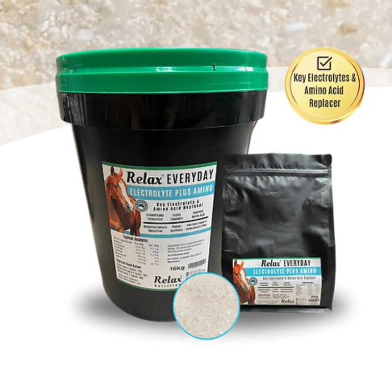 QPD Relax Everyday Electrolyte Plus Amino – Gympie Saddleworld ...