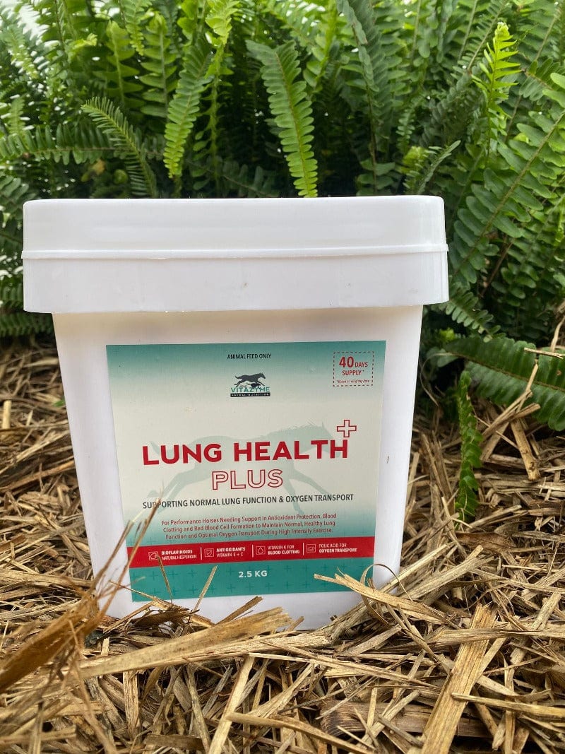 Vitazyme Lung Health Plus – Gympie Saddleworld & Country Clothing