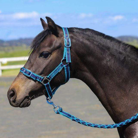 Halters - Range Online and Instore - Gympie Saddleworld – Gympie ...
