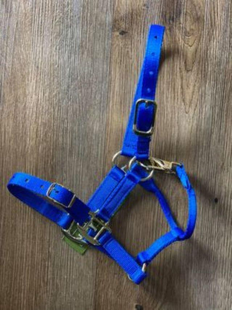 Halters - Range Online and Instore - Gympie Saddleworld – Gympie ...