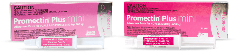 Promectin Plus for Foals and Ponies (150kg-300kg) 3.15g – Gympie ...