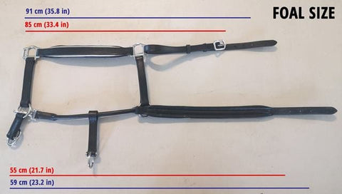 Halters - Range Online and Instore - Gympie Saddleworld – Gympie Saddleworld & Country Clothing