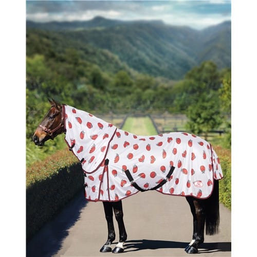 Kool Master Lady Beetle Mesh Combo – Gympie Saddleworld & Country Clothing
