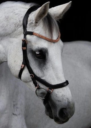Lumiere Bridle Aria Micklem Style (ARIABRIDLE) – Gympie Saddleworld ...