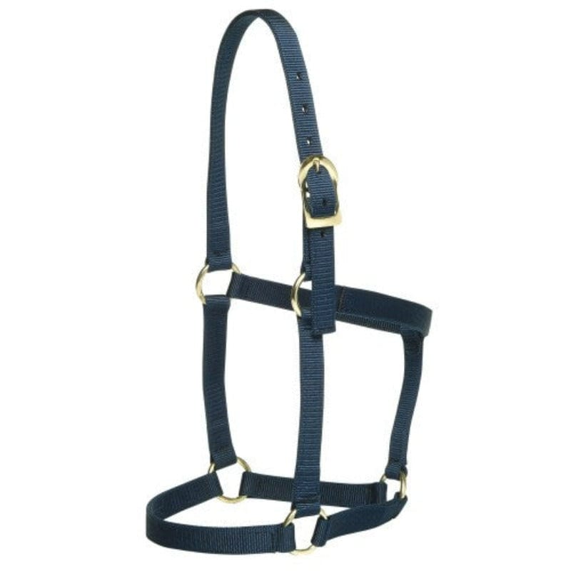 Rancher Stable Halter (RAN2300) – Gympie Saddleworld & Country Clothing
