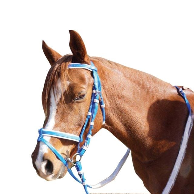 Showcraft PVC Hanoverian Eventing Bridle – Gympie Saddleworld & Country ...
